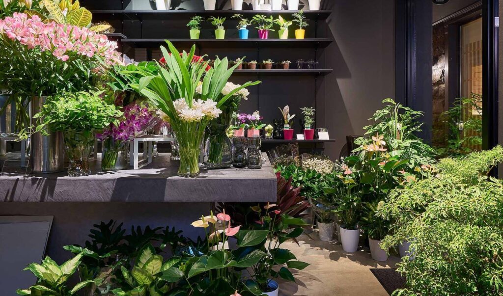 TEN ROSEs ｜CONTENT | SOZOSYA PROJECTS