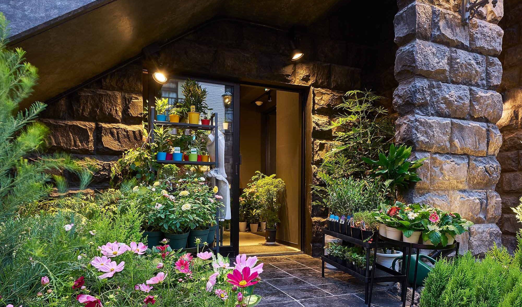 TEN ROSEs ｜CONTENT | SOZOSYA PROJECTS